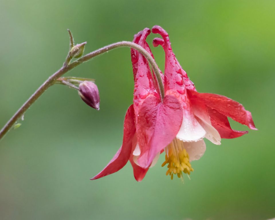 Peter Aitken Photographs